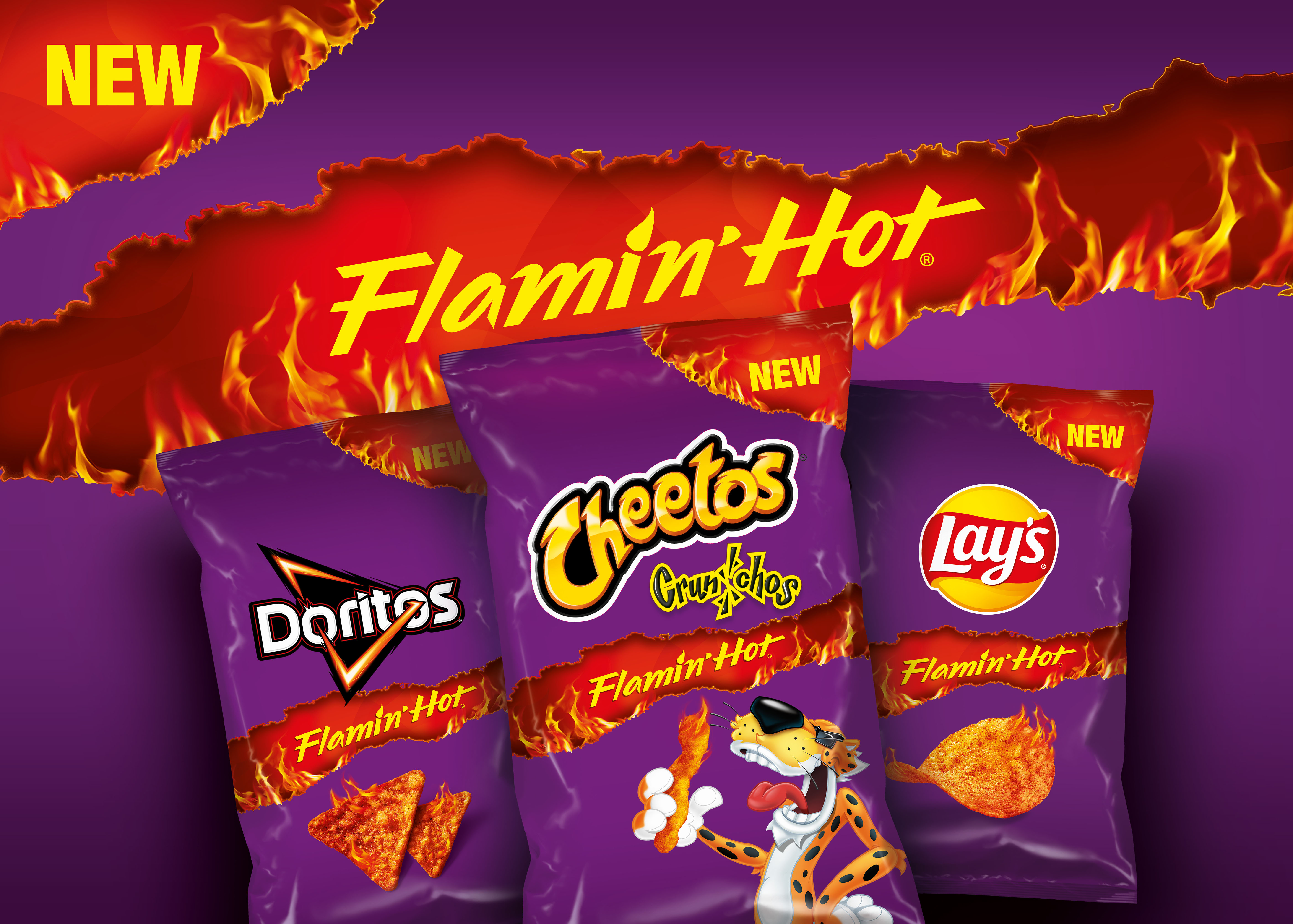FlaminHot Brand Landing Page | Joy